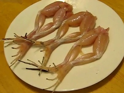 Marinate for an hour 100 frogs’ legs – Historian. Novelist. Greedy Woman.